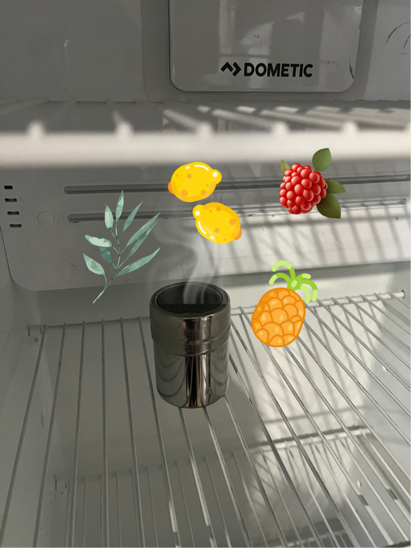 Fridge Freshener (multiple scents available) – Van Fizzers
